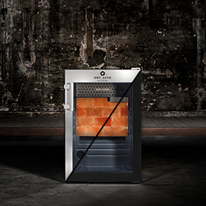 DRY AGER DX 500 Premium S With Salt Wall System | ubicaciondepersonas ...