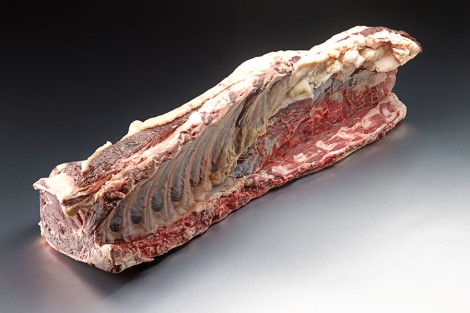 DRY AGER® | Shop - Meat